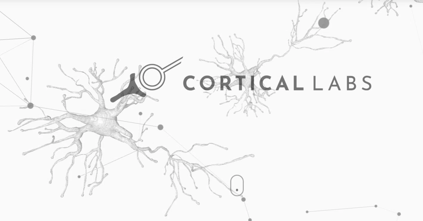 【Cortical Labs】人が不要になる？？脳細胞 機械を開発 | New Venture Voice