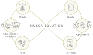 【Musca】イエバエで持続可能な食糧生産を実現 | New Venture Voice