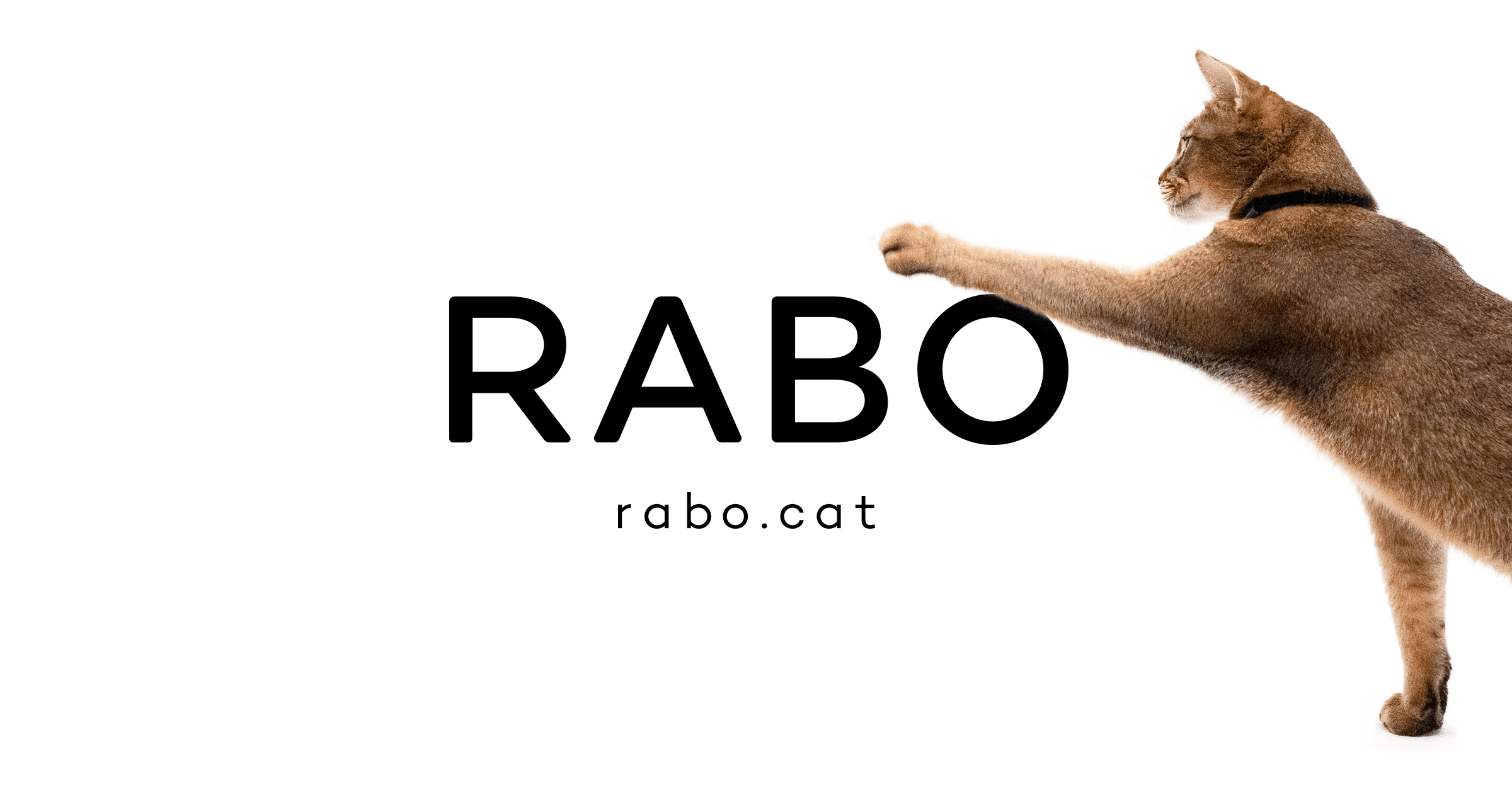 最新テクノロジーで猫の健康を守る！RABOが提供する猫見守りデバイス「Catlog_Series」 | New Venture Voice