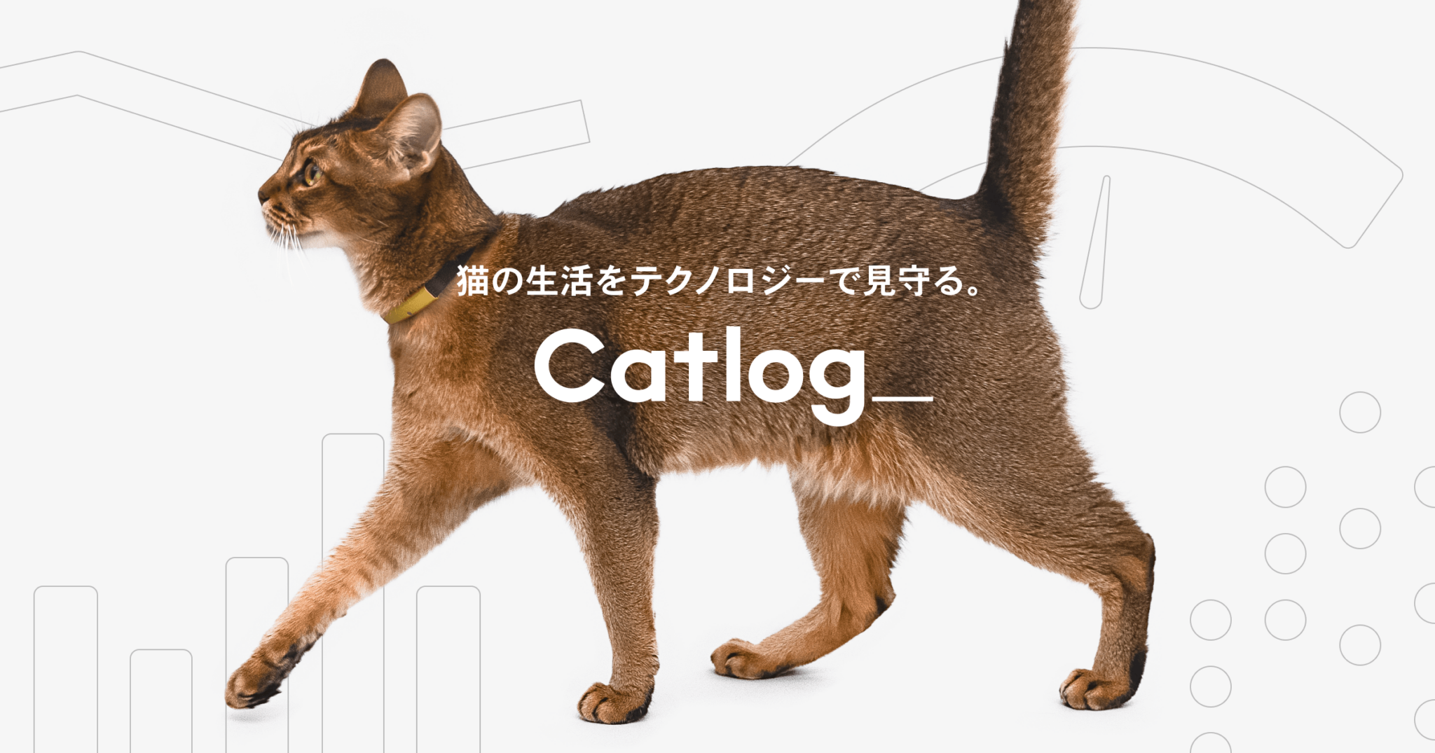 最新テクノロジーで猫の健康を守る！RABOが提供する猫見守りデバイス「Catlog_Series」 | New Venture Voice