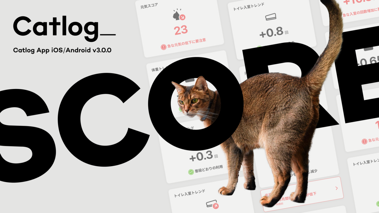 最新テクノロジーで猫の健康を守る！RABOが提供する猫見守りデバイス「Catlog_Series」 | New Venture Voice