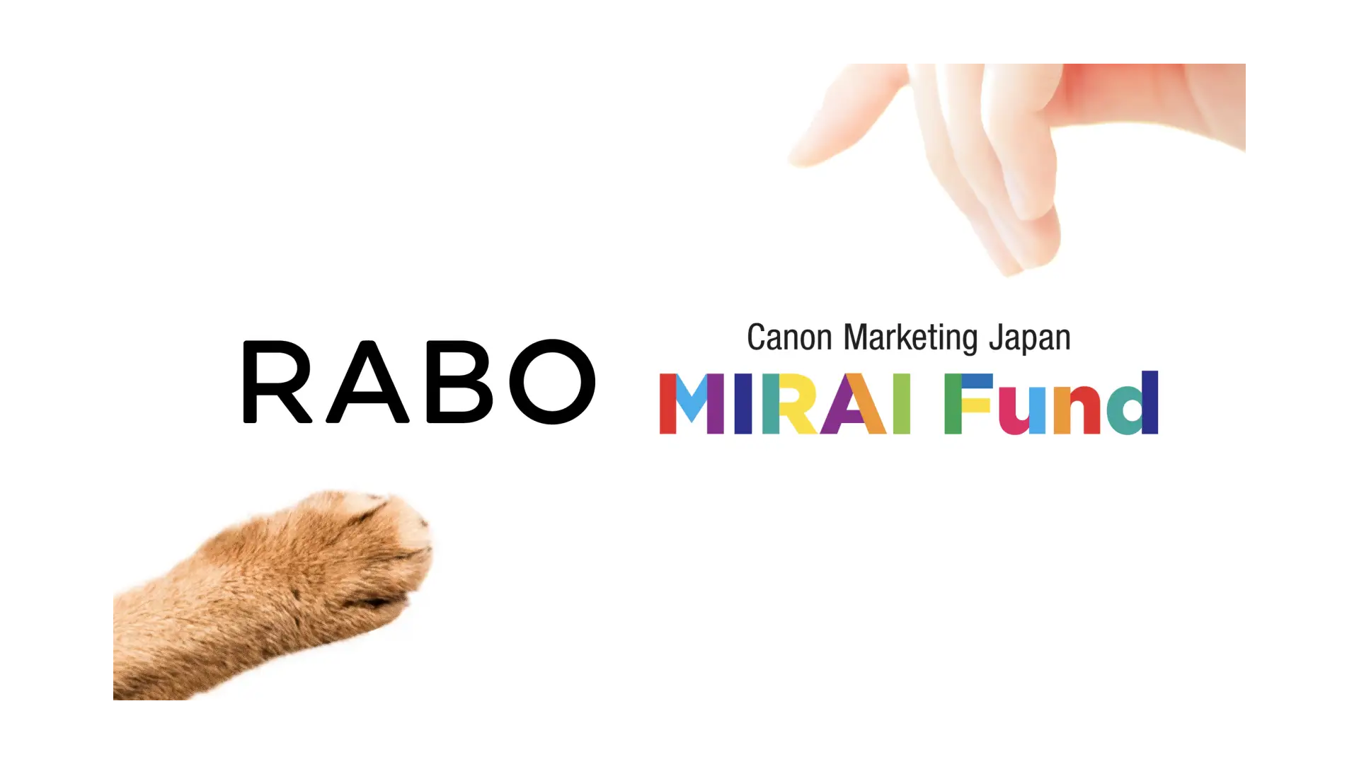 最新テクノロジーで猫の健康を守る！RABOが提供する猫見守りデバイス「Catlog_Series」 | New Venture Voice