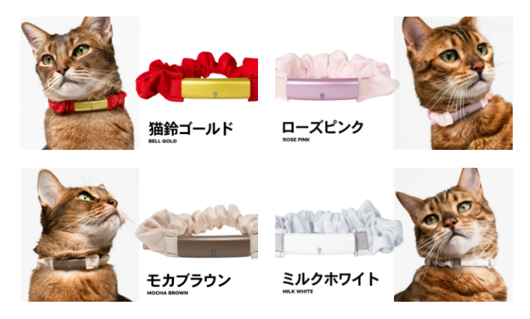 最新テクノロジーで猫の健康を守る！RABOが提供する猫見守りデバイス「Catlog_Series」 | New Venture Voice