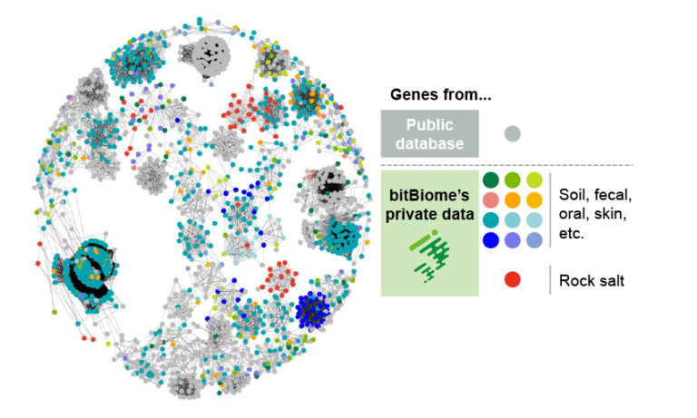 【bitBiome】微生物のさらなる可能性を探究するバイオテックスタートアップ | New Venture Voice