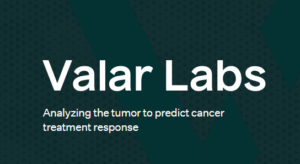 【株式会社Valar Labs】変わるがん治療の未来｜AI病理診断「Vesta」で精密医療の最短ルートへ - New Venture Voice